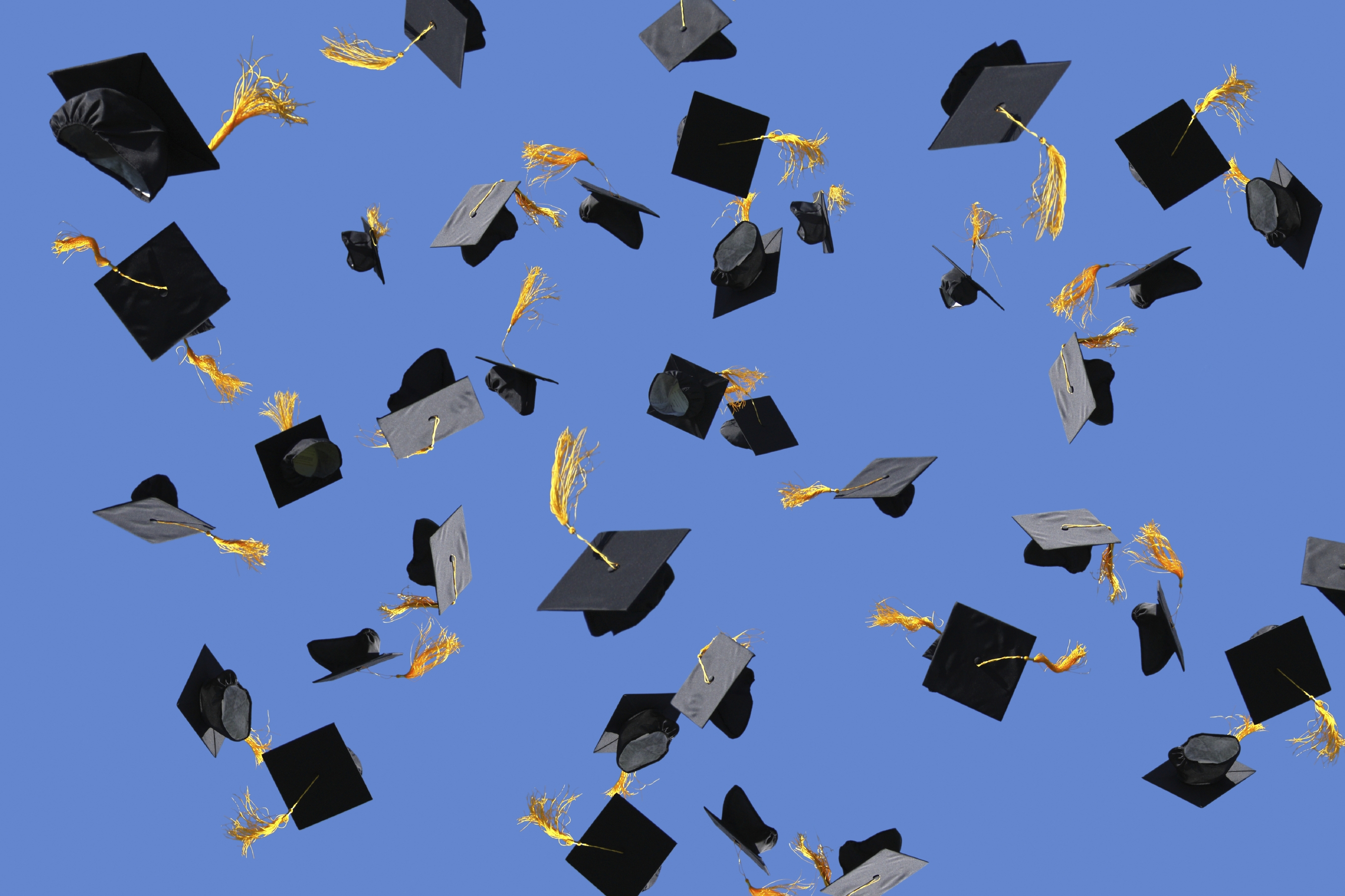 Planning A Successful Graduation Dinner Catering Menu Prices planning-a-successful-graduation-dinner-catering-menu-prices